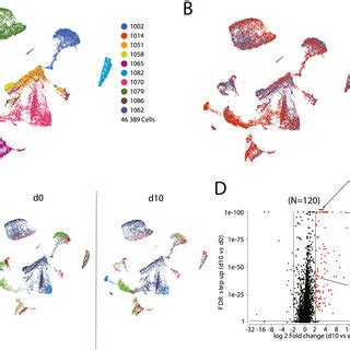 Transcriptional Changes In The Bone Marrow Of AML And MDS Patients Download Scientific Diagram