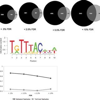 Comparing Biological Replicates And Technical Replicates A Running Download Scientific