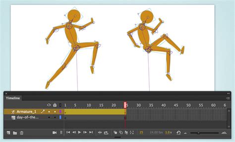 Basic Tools In Animate