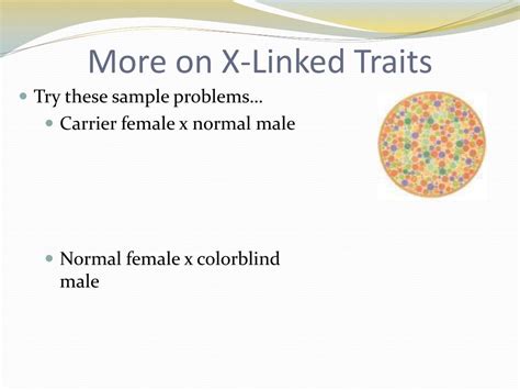 Ppt Ap Bio Thursday 3 17 11 Genetic Patterns Of Inheritance Powerpoint Presentation Id 3596042