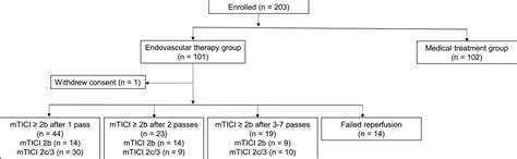 Number Of Passes Of Endovascular Therapy For Stroke With A Large