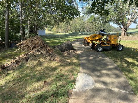 New Danny Go Songs Out Now On Yippee Check Out This Short Clip Of ‘twist And Shake And Ice