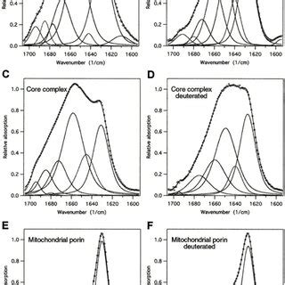 EM And Projection Map Of Purified Tom40 A Survey View Of Negatively Download Scientific