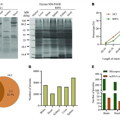 Summary Of De Novo Sequencing Results A Comparison Of Spectrum