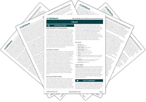 Roy Eberhardt Character Analysis In Hoot Litcharts
