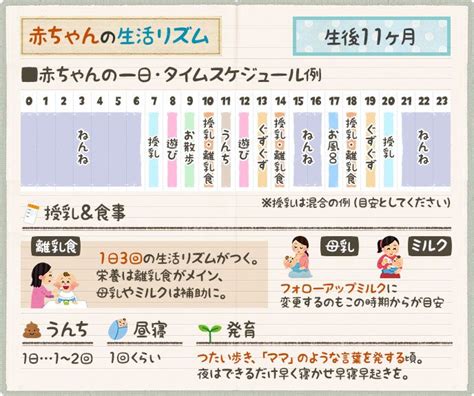 生後11ヶ月のタイムスケジュール 赤ちゃん 授乳 赤ちゃん 成長 赤ちゃん