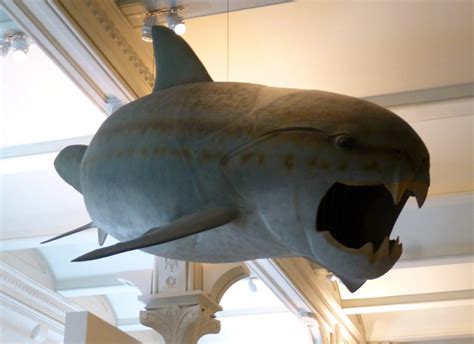 Favorite Extinct Placoderm The Dunkleosteus The Worley Gig