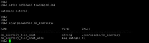 19c converting physical standby database to the snapshot standby database