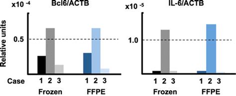 Comparison Of Rna Extraction From Frozen And Ffpe Samples We Performed Download Scientific