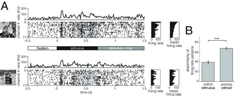 Structure Of The Experiment And Mean Neural Responses A Time Course Download Scientific