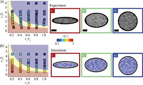 Figure 1 From Curvature Directed Anchoring And Defect Structure Of