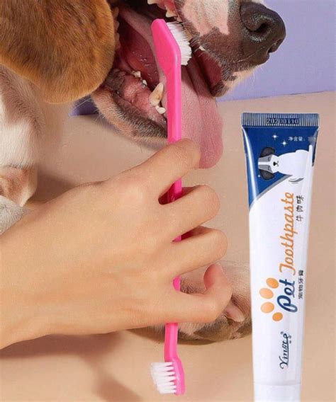 Pet Toothpaste Set Wild Horizon