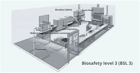 Biosafety Levels Bsl 1 Bsl 2 Bsl 3 And Bsl 4 Primary And Secondary Barriers Agents