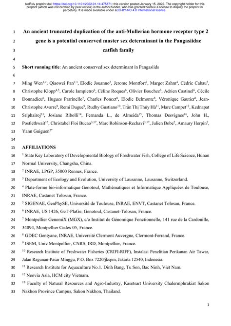 Pdf An Ancient Truncated Duplication Of The Anti Mullerian Hormone Receptor Type 2 Gene Is A