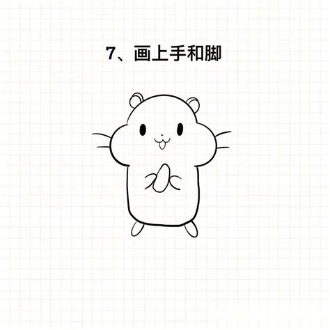 简笔画教程爱吃零食的小仓鼠 知乎