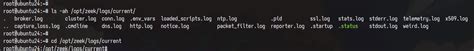 how to install zeek network security monitoring tool on ubuntu 24 04