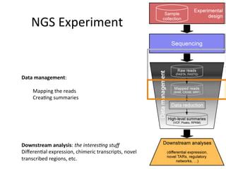 RNA Sequencing Analysis Tutorial With NGS PDF Genetics Science