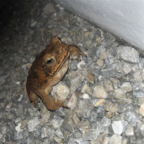 Stream Ctrl Alt Esc By Snino Listen Online For Free On Soundcloud