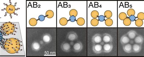 Precisely Arranging Nanoparticles To Develop Plasmonic Molecules
