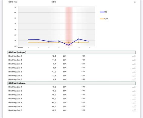 Healthpath Gi Map Test Results And Sibo Negative Feeling Lost And