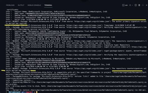 Error Installing Package On Dotnet Core 5 Project · Issue 892 · App Vnextpolly · Github