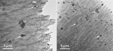 Comparison Between Microstructures Presented In The Journal De