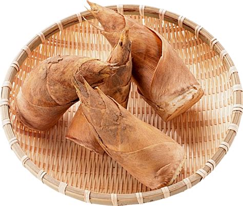 冬笋竹笋笋子春笋竹盘子里的笋挖出来的笋