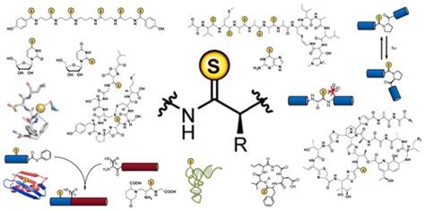 Biosynthesis And Chemical Applications Of Thioamides Acs Chemical Biology
