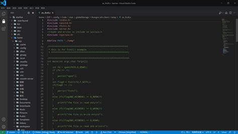 关于星光2的开发环境 昉·星光 2cn Rvspace Forum