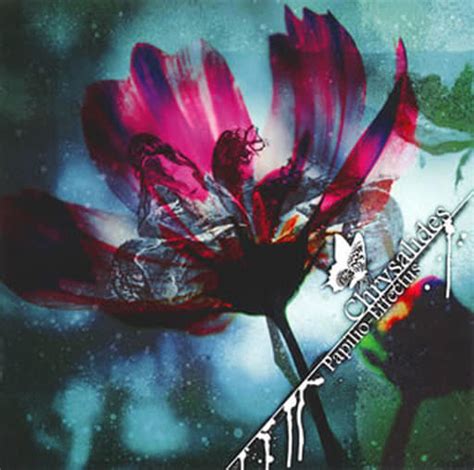 駿河屋 Papilio Effectus Chrysalides（邦楽）