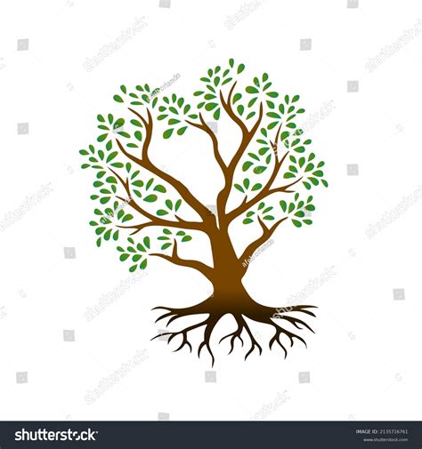 Vector Illustration Tree Roots Logo Concept Stock Vector Royalty Free 2135716761 Shutterstock