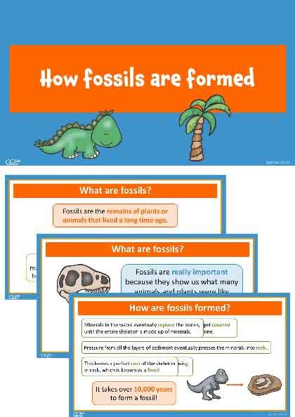 How Are Fossils Formed Year 3 CGP Plus