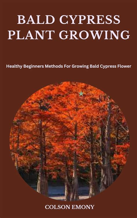 bald cypress plant growing healthy beginners methods for growing bald