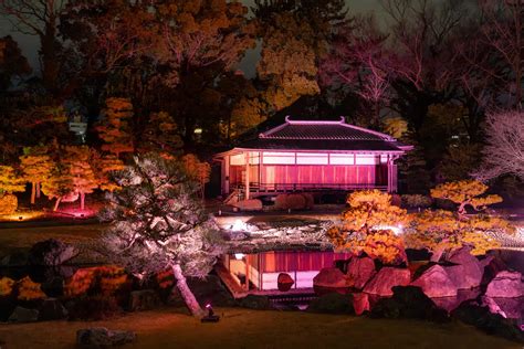 世界遺産二条城 NAKED meets 二条城 2025 桜 NAKED GARDEN ONE KYOTO