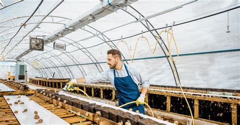 잘 생긴 노동자는 물총으로 선반을 씻고 농장의 온실에서 달팽이를 돌보고 복사 공간이 있는 광각보기 사진 Unsplash의 농업 경제학자 이미지