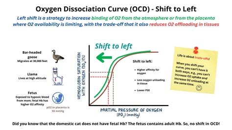 Oxygen Dissociation Curve Shift To The Left • The Blood Project