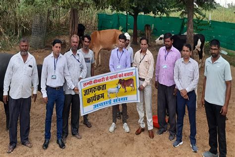 लम्पी रोग से बचाव के लिए किया जागरुकता कार्यक्रम गायों को दी आयुर्वेदिक औषधि Lumpy Skin