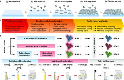 Evaluation Of Bsa Proteins To Fabricate Antifouling Coatings A Download Scientific Diagram