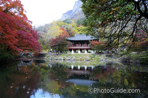 2022 단풍지도 단풍 절정기 단풍 절정 시기 정보
