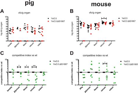 Impact Of The Insertion Element Is 1667 In The Inva Promoter Region On Download Scientific