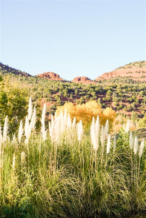 Lauren Topor Reichert On Linkedin Sedona Arizona Travel
