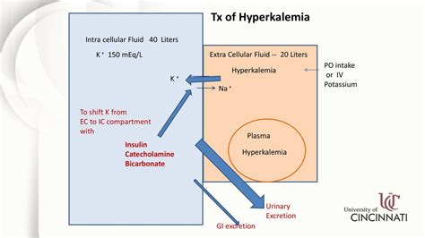 Potassium Disorders N Ganesh Yadlapalli MD Professor Of Medicine University Of Cincinnati