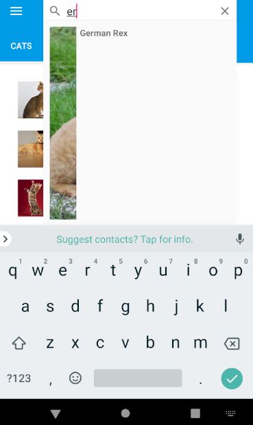Bug Page Does Not Display Correctly When Searching In Shell SearchHandler Issue 13662