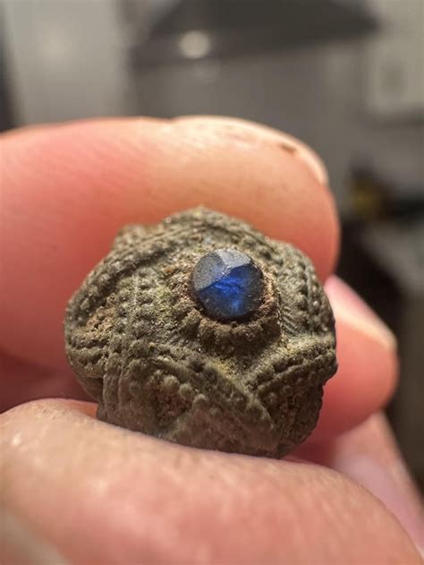 A Beautiful Toggle Button Found Yesterday And A Few Surprise Friends R Metaldetecting