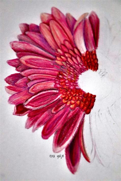 How Do You Draw A Realistic Flower At Clifford Bloss Blog