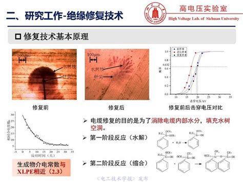 四川大学周凯教授：电缆水树的老化、诊断与修复技术 电气技术杂志社