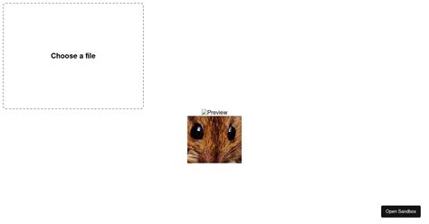 React Avatar Cropper Examples Codesandbox
