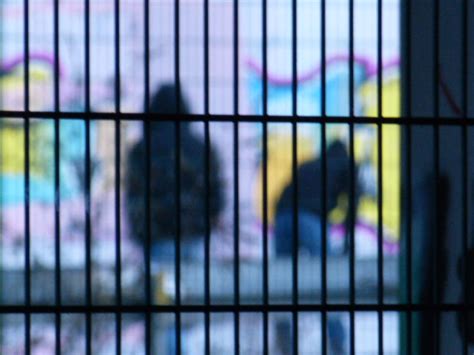 Robot Swarm Communication Networks Robotiqueworldcommunication1