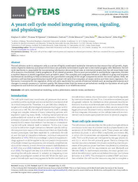 Pdf A Yeast Cell Cycle Model Integrating Stress Signaling And