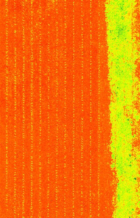 Corn Stands Object Detection Dataset And Pre Trained Model By Cornrows